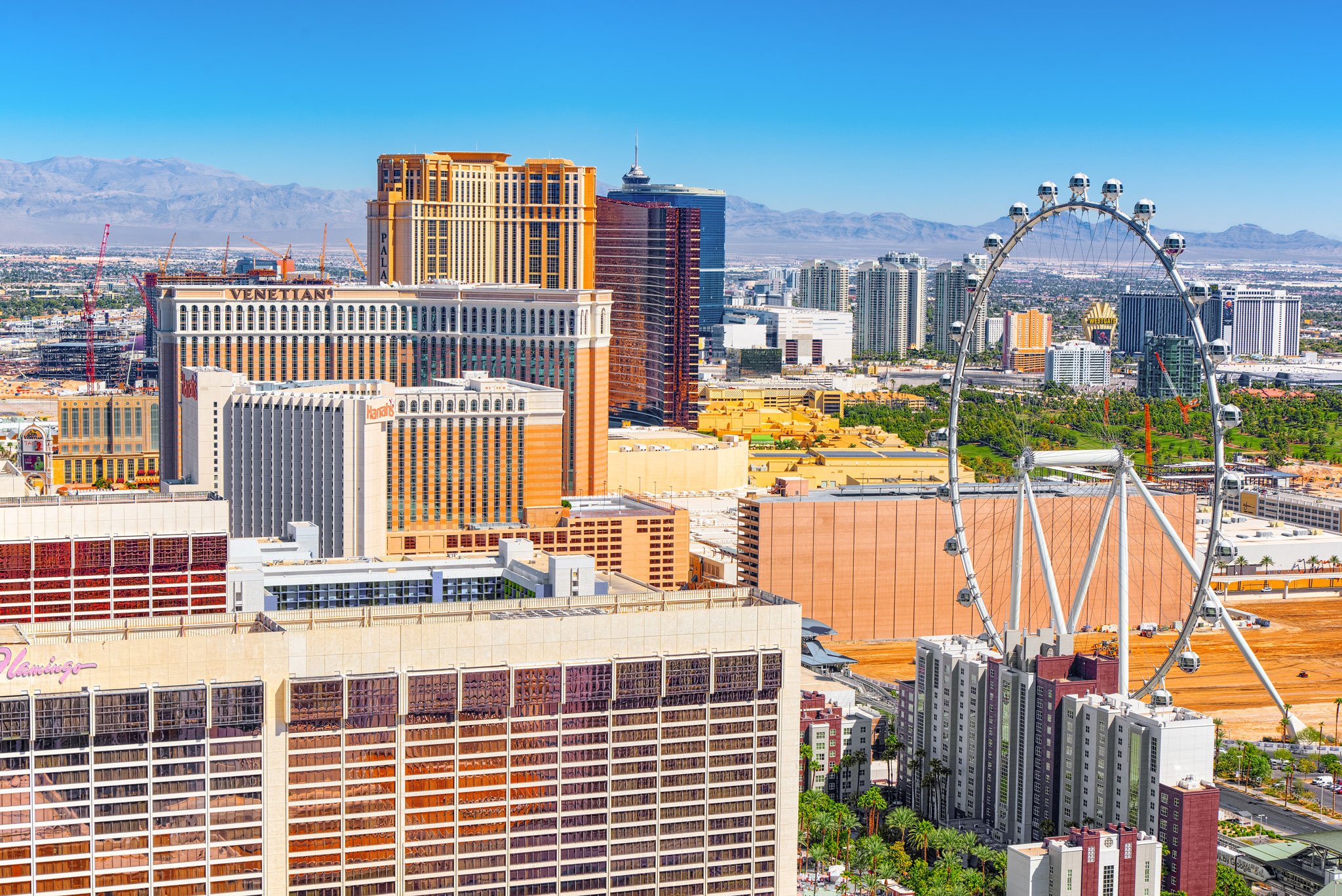 Hotel Deposit & Cancellation Policy | HIMSS Global Health Conference ...